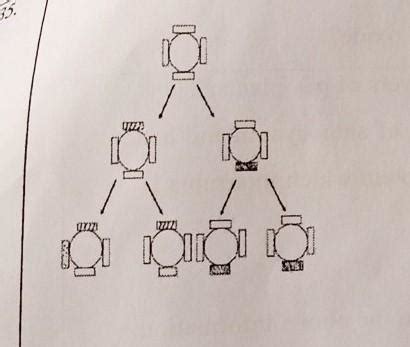 A Identify The Mode Of Reproduction Represented In The Above Picture