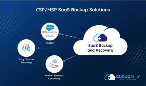 Reduce Customer Data Loss Costs With Saas Msp Backup Cloudally