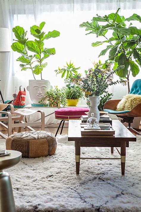 Details Imagen Decorar Con Plantas De Interior Abzlocal Mx