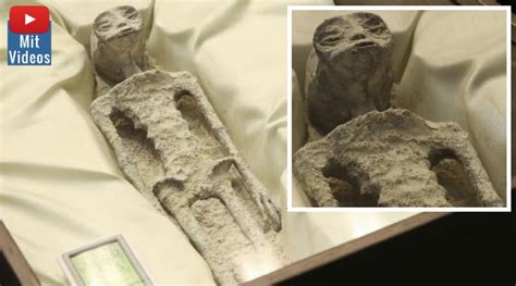 Außerirdische Mumien UFO Forscher präsentieren Alien Leichen von
