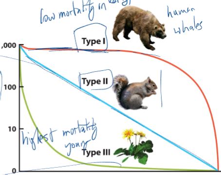 Lecture First Slides Of Lecture Ecology Population Growth