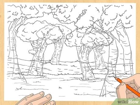 Aprender Sobre Imagem Desenhos De Florestas Realistas Br