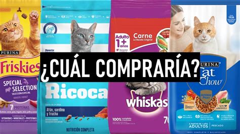 Descubre Los Mejores Precios De Comida Para Gatos En Bolivia Y Ahorra