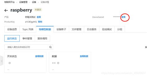 树莓派接入阿里云iot平台1（python模拟数据上传） 树莓派无法与阿里云平台传输数据 csdn博客