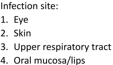Herpes Simplex Flashcards Quizlet