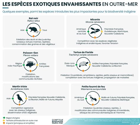 Esp Ces Exotiques Envahissantes Compteur Biodiversit Outre Mer