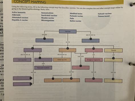 Solved Eck Concept Mapping Using The Following Terms Fill Chegg