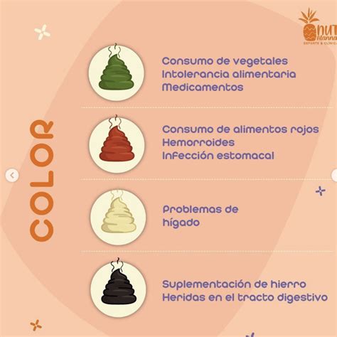 Qué dicen las heces de tu salud Nut Alanna