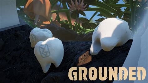 Milk Molar Locations Grounded Map