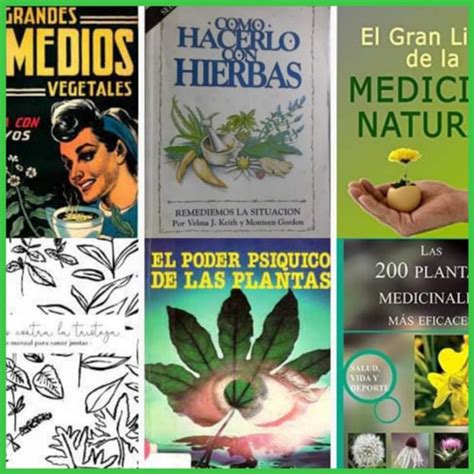 Mega Packs Libros Herbolaria Pdf Pack N1 Formato Digital Cuotas