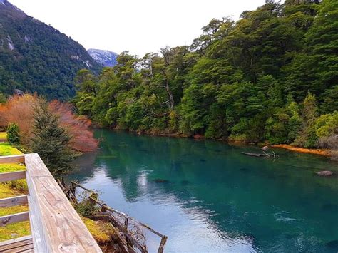 Esse é o rio Frias que nasce de um dos glaciares do Cerro Tronador