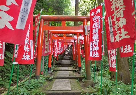 鎌倉Today 佐助稲荷神社