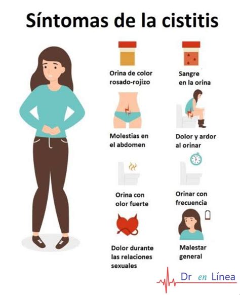 Síntomas de la Cistitis Infeccion urinaria Urinarios Cistitis