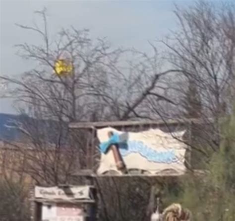 Catorce heridos dos críticos por la caída de un árbol a las vías de