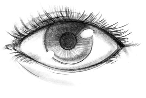 How To Draw An Eye Step By Step