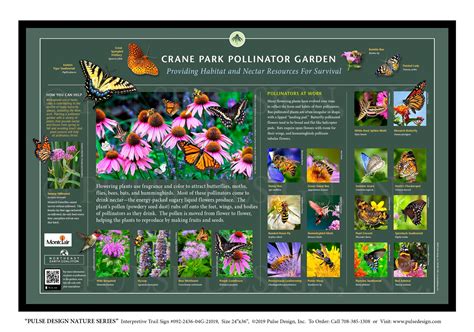 PDNS Pollinator Garden Monarch Butterfly Bee Habitat Outdoor