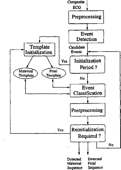 figure 1 from a signal separation algorithm for fetal heart rate estimation semantic scholar