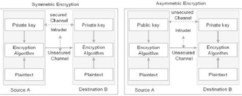 figure 1 from design and analysis of dna encryption and decryption technique based on asymmetric