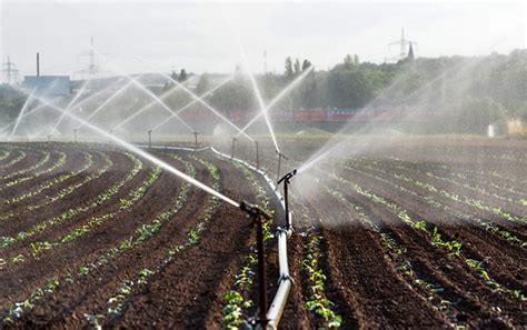 A irrigação é essencial para qualquer produção aprenda aqui a