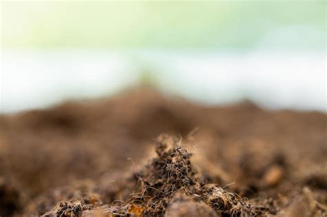 Premium Photo Fertile Soil Texture Background Seen From Above Top