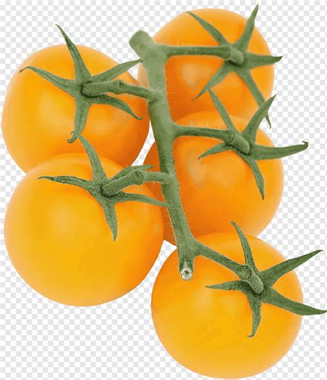 Cherry Tomato Organic Food Vegetable Fruit Fresh Persimmon Natural