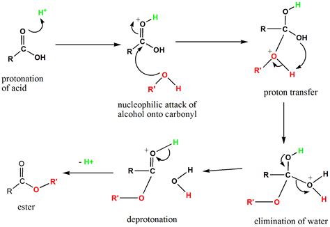 H Ziasszony Hogyan Racion Lis Reaction Of Carboxylic Acid And Alcohol