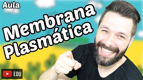 Membrana Plasmática Funções e Estrutura Biologia Samuel Cunha
