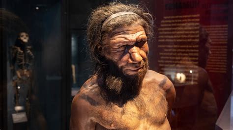 A Nombre De Adepto Bienes Diversos Hombre Neandertal Herramientas