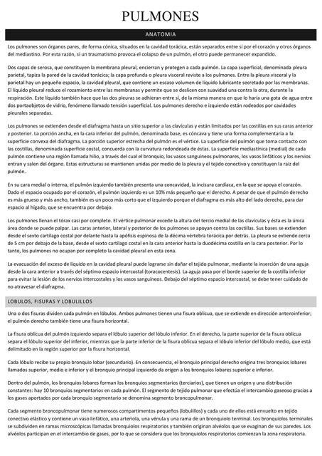 Pulmones Anatomia Celeste Codutti Udocz