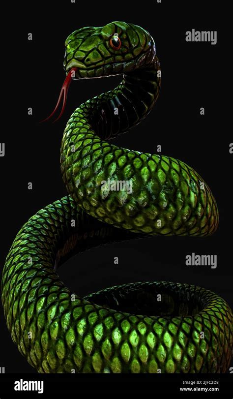 Green Cobra Snake