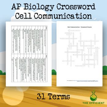 AP Biology Cell Communication Crossword Great For Cover Lessons