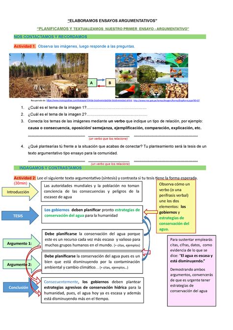 Texto Argumentativo 2 ELABORAMOS ENSAYOS ARGUMENTATIVOS