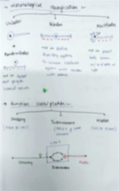SOLUTION Dr Najeeb Histology Notes NERVOUS SYSTEM Lecture 14