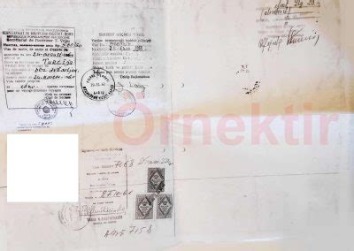 Eren Avukatlık Ofisi İsim Denklik Belgesi