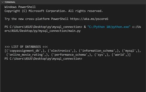 python mysql connector example pip install and download copyassignment
