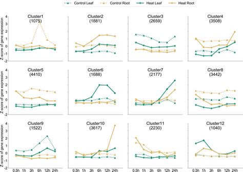 Frontiers Transcriptome Data Reveal Gene Clusters And Key Genes In