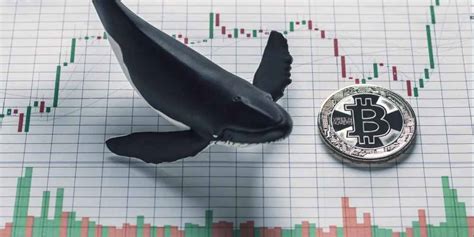 What Is A Sell Wall And How It Reveals The Trading Market