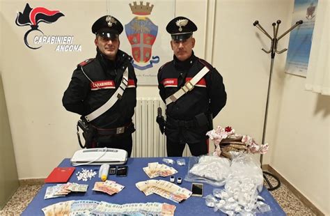 Cocaina Spedita Dalla Calabria Alle Marche In Autobus Cinque Arresti