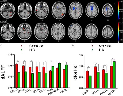 frontiers dynamic alterations in spontaneous neural activity in multiple brain networks in