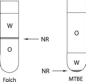 Methyl Tert Butyl Ether MTBE Lipid Extraction Method Phase