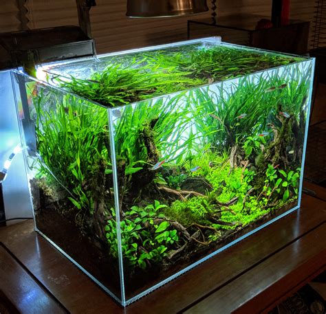 Best Gallon Fish Tank Aquarium Reviews And Setup Ideas