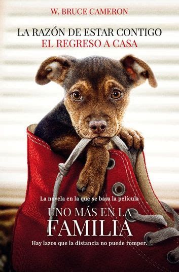 La Razón De Estar Contigo El Regreso A Casa Filmes gratis Dicas de