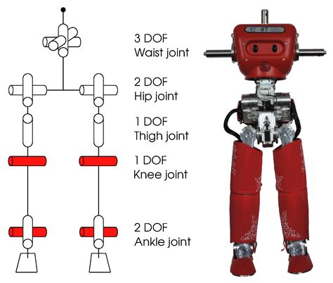 applied sciences free full text bio inspired optimal control framework to generate walking