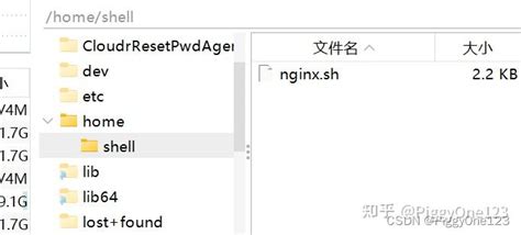 如何在linux系统中运行 sh文件 shell脚本 以一键部署nginx为例子 知乎