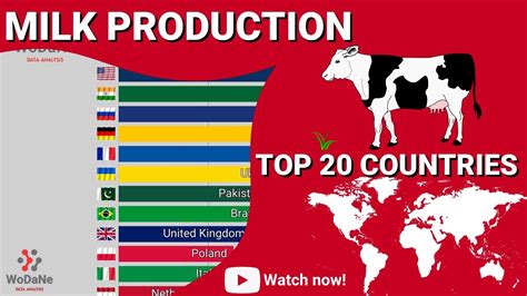 Top Countries By Milk Production Youtube