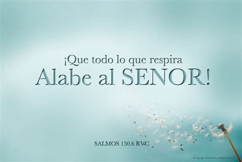 Todo lo que respire alabe al Señor El versículo del día