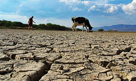Ante sequía piden tomar medidas