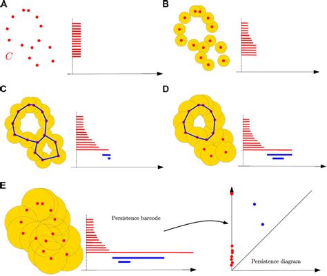 frontiers an introduction to topological data analysis fundamental and practical aspects for