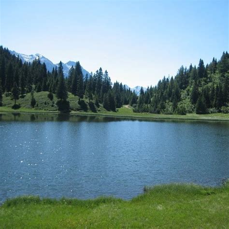 Diferencia Entre Lago Y Laguna Actualizado
