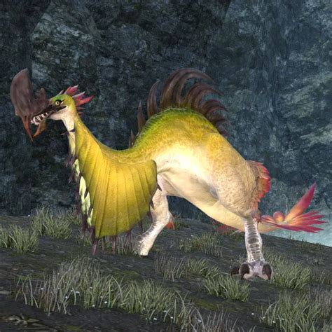 FFXIV Ziz Location Map FF14 Hunting Log